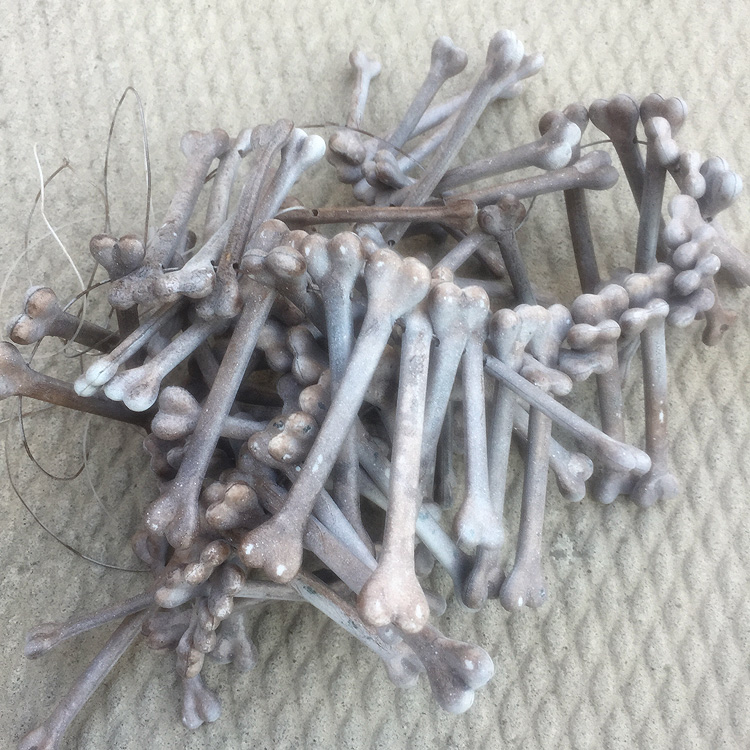 How To Make Plastic Bones Look Aged And Dirty Manning Makes Stuff How To Make Plastic Bones Look Aged And Dirty Manning Makes Stuff