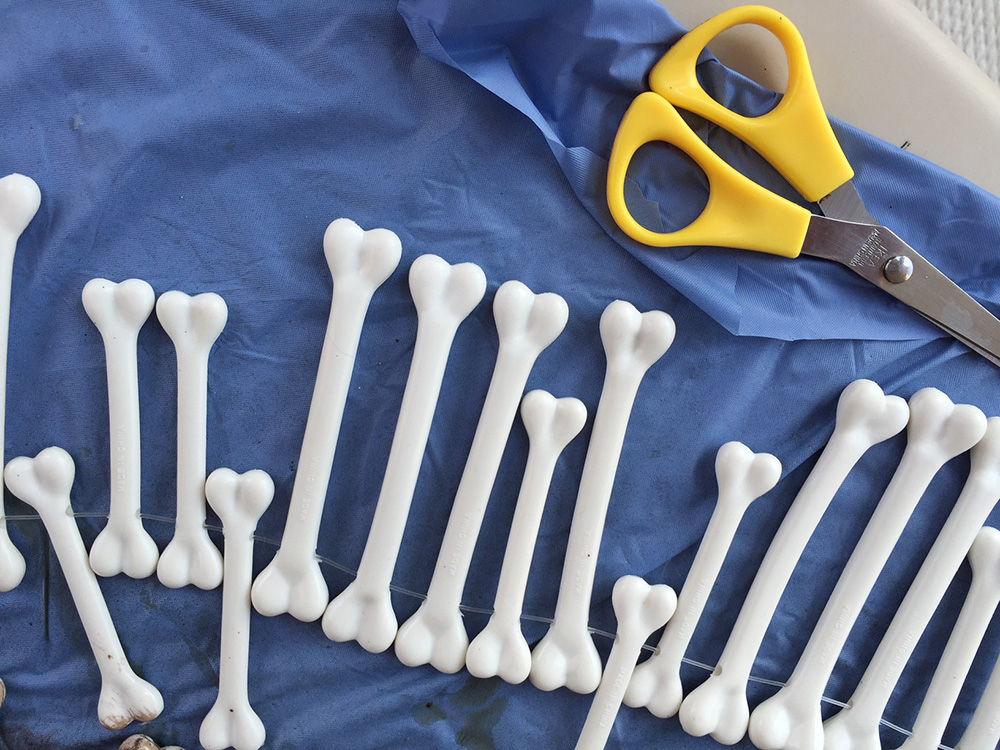 How To Make Plastic Bones Look Aged And Dirty Manning Makes Stuff How To Make Plastic Bones Look Aged And Dirty Manning Makes Stuff