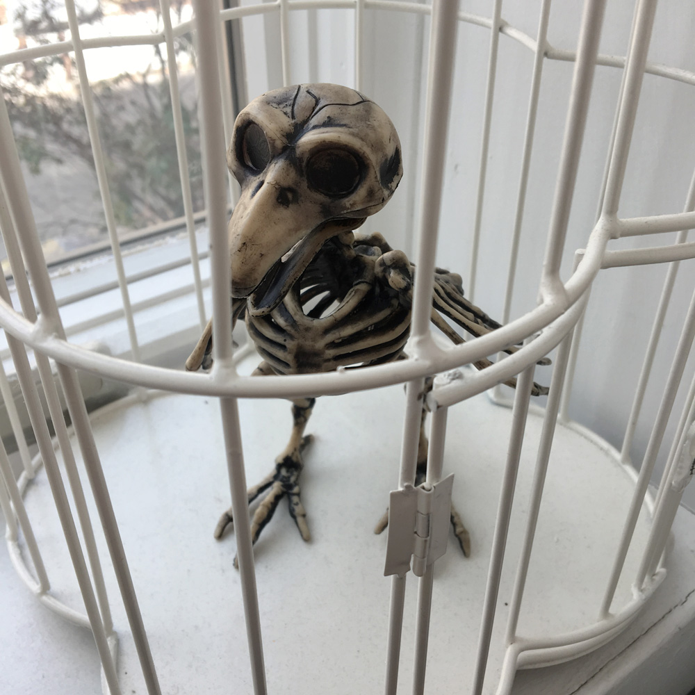 Repainting A Plastic Bird Skeleton Halloween Prop Manning Makes Stuff Repainting A Plastic Bird Skeleton Halloween Prop Manning Makes Stuff
